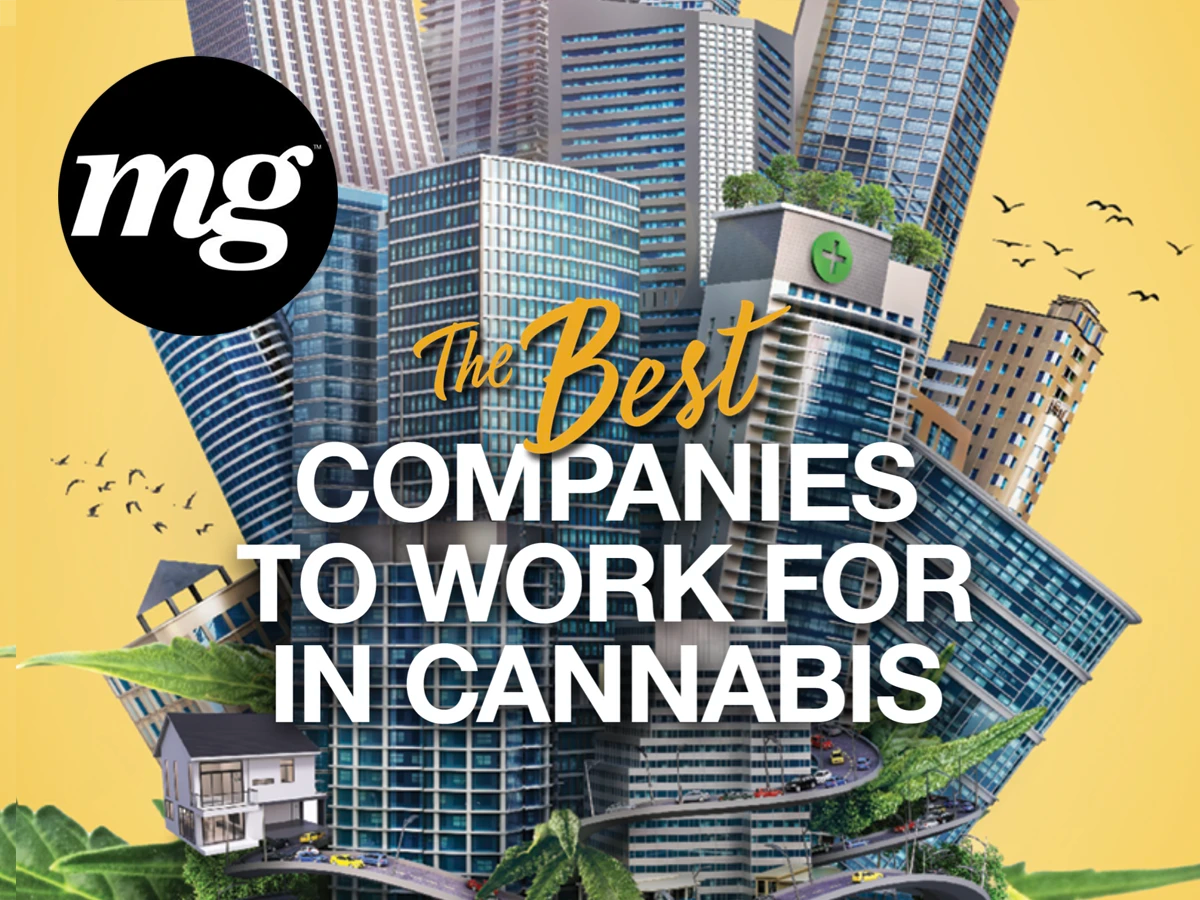 America's Top Cannabis Employers – Ispire Technology